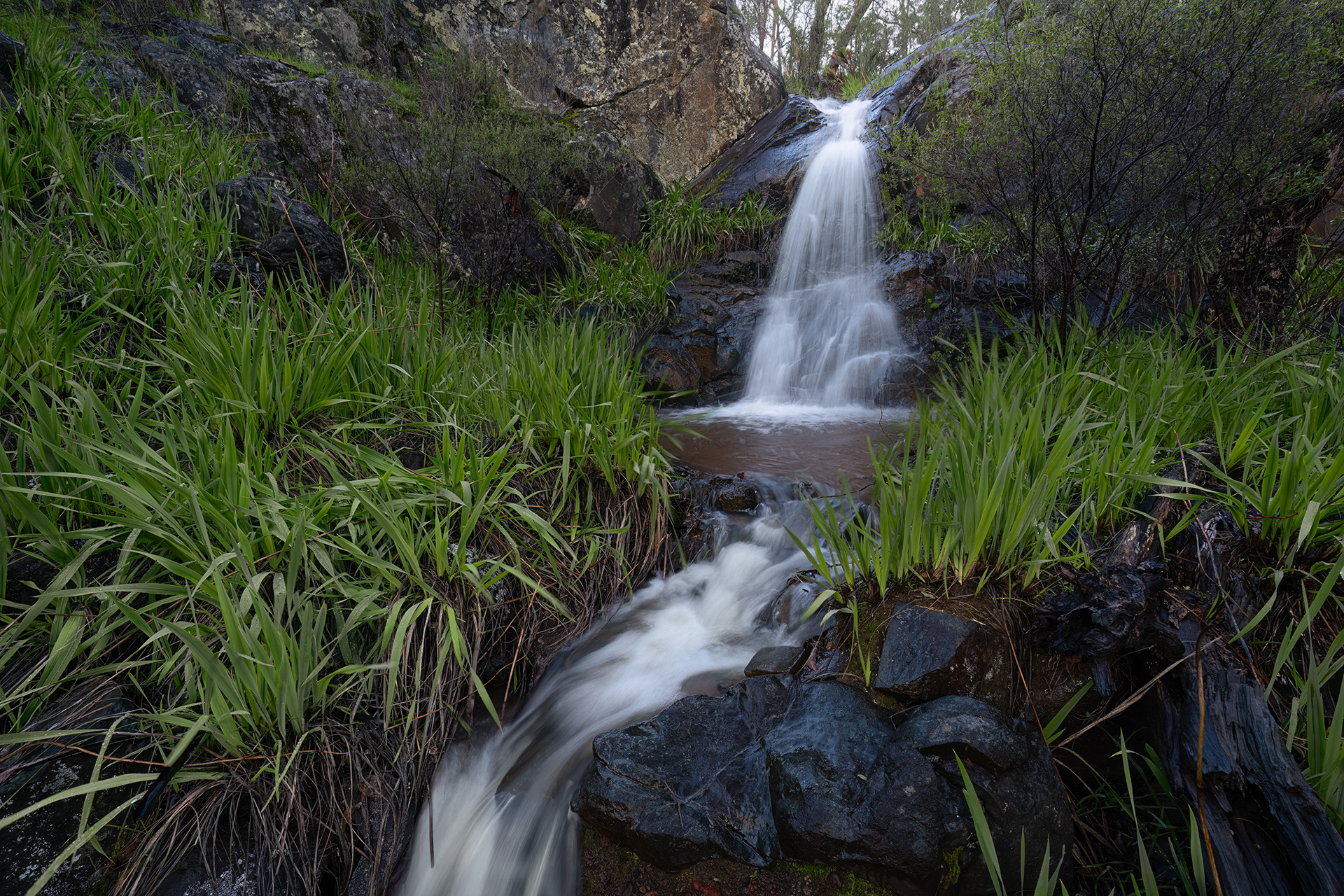 Nature By Nathan - WA - Perth & Surrounds