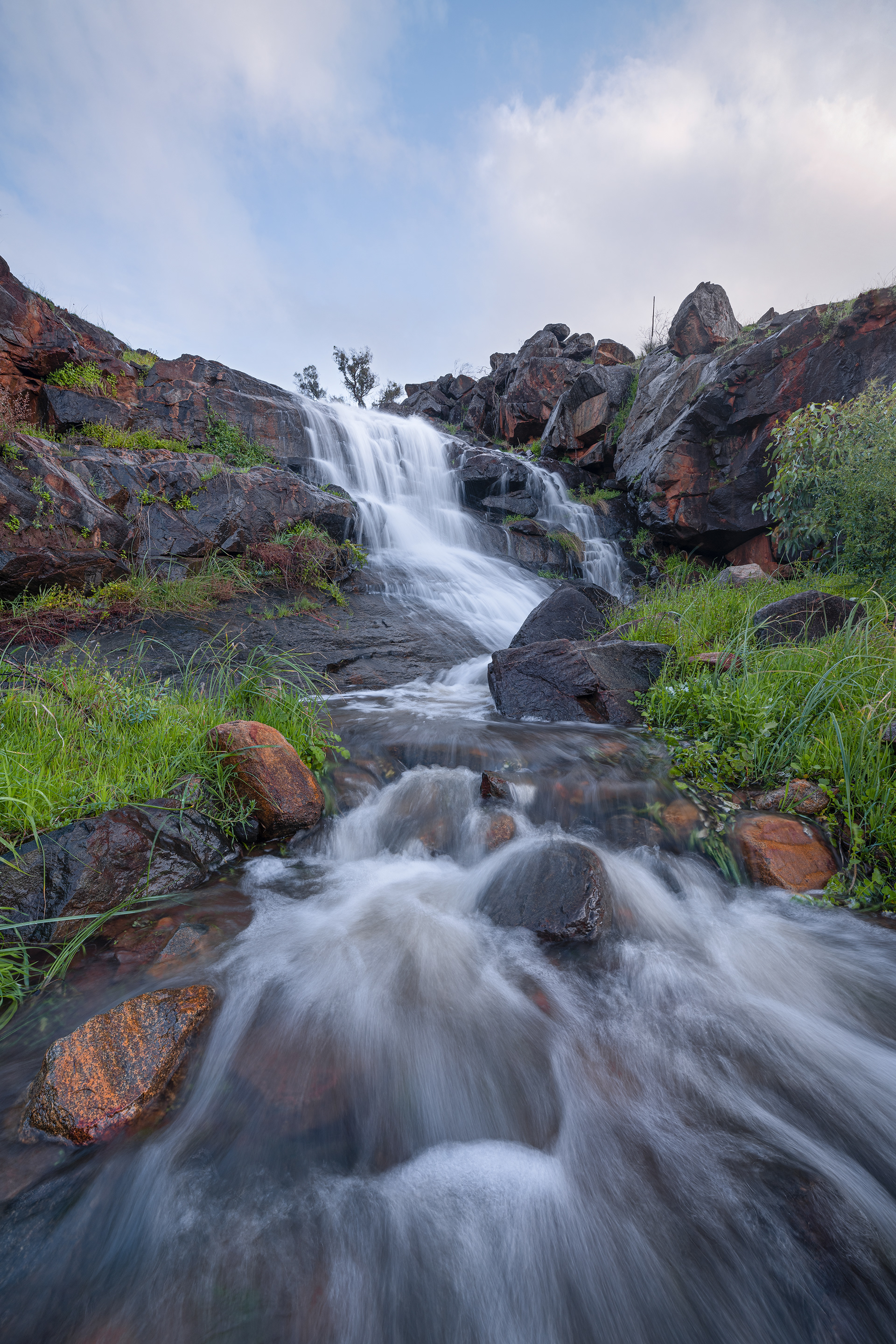 Nature By Nathan - WA - Perth & Surrounds