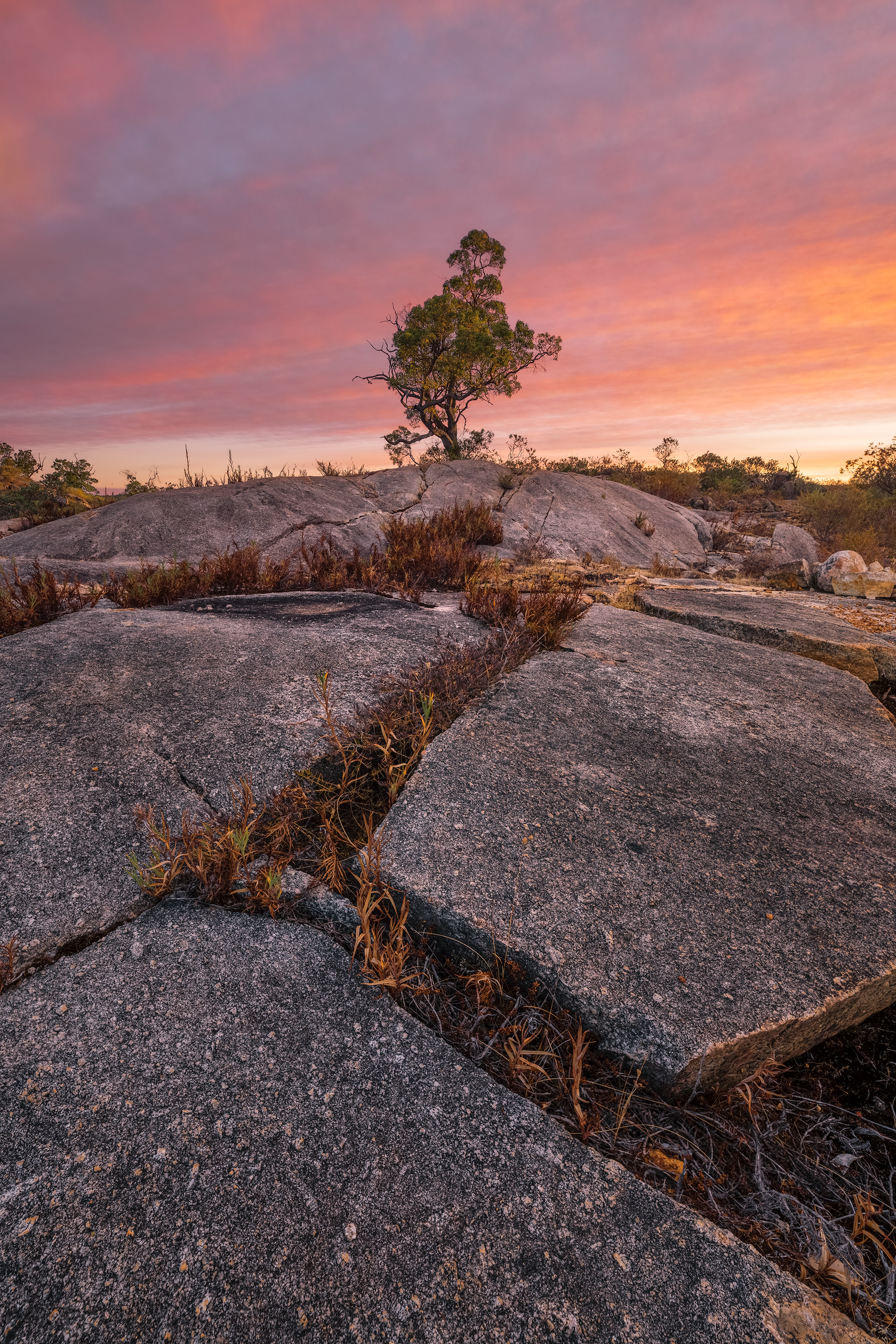 Nature By Nathan - WA - Perth & Surrounds