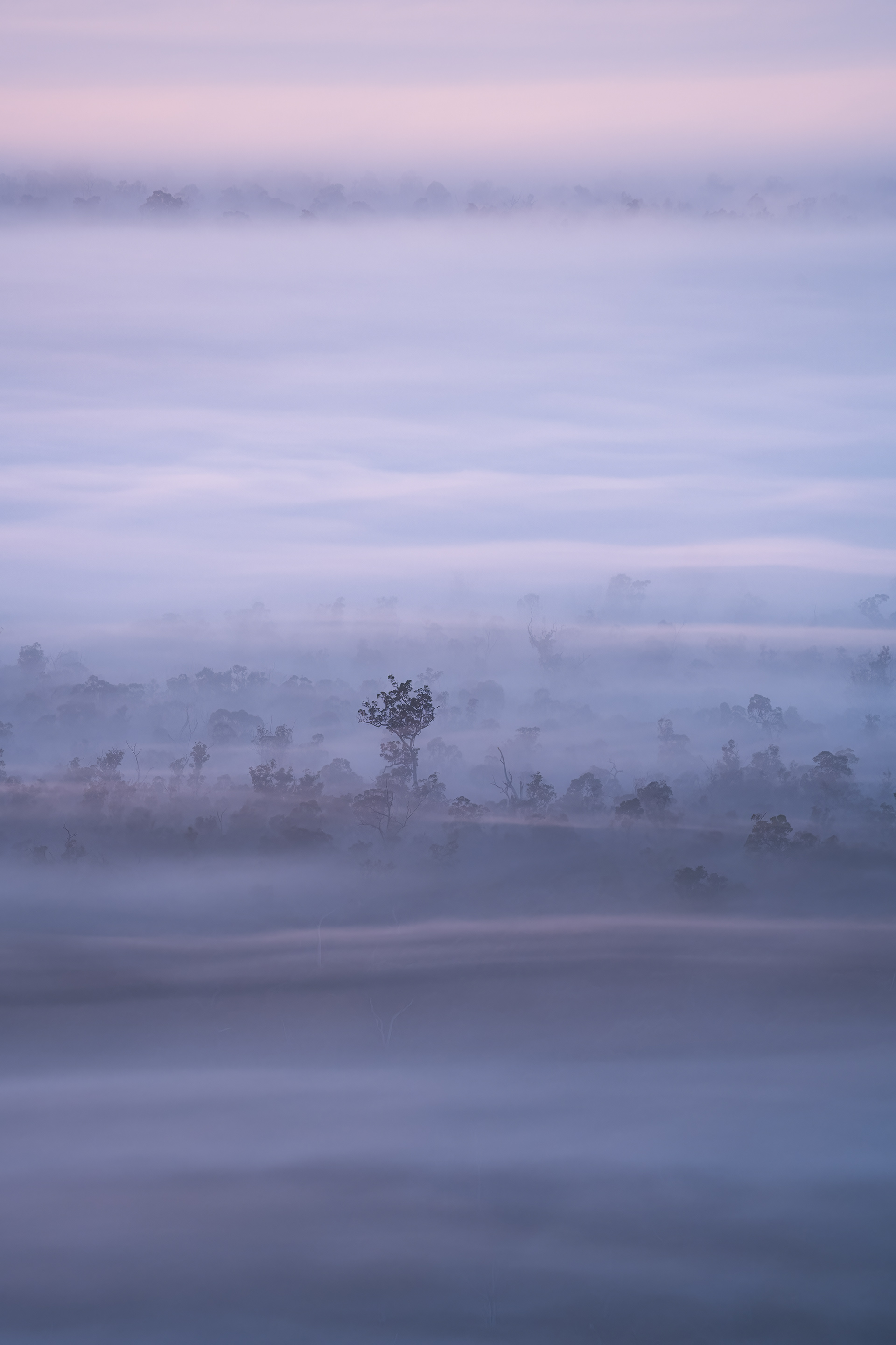 Nature By Nathan - WA - Perth & Surrounds