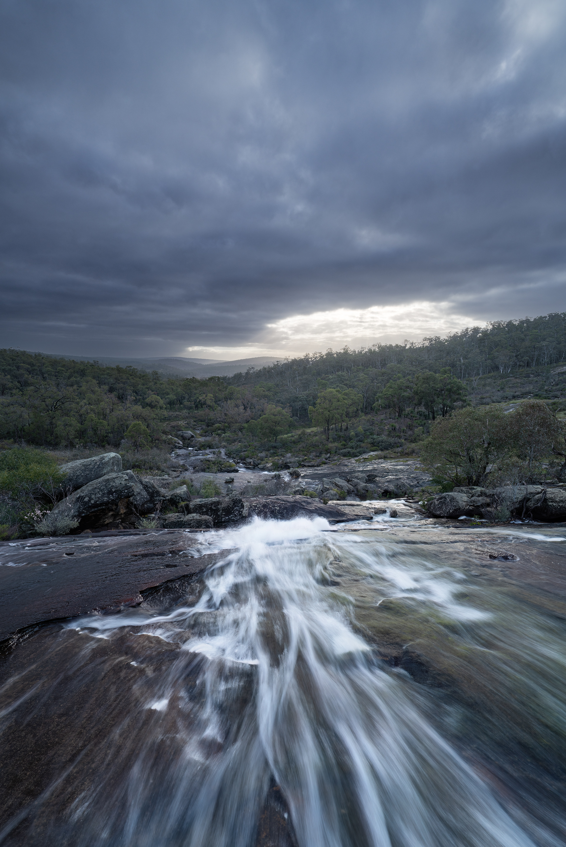 Nature By Nathan - WA - Perth & Surrounds