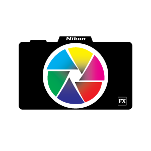 David Romualdo Photography