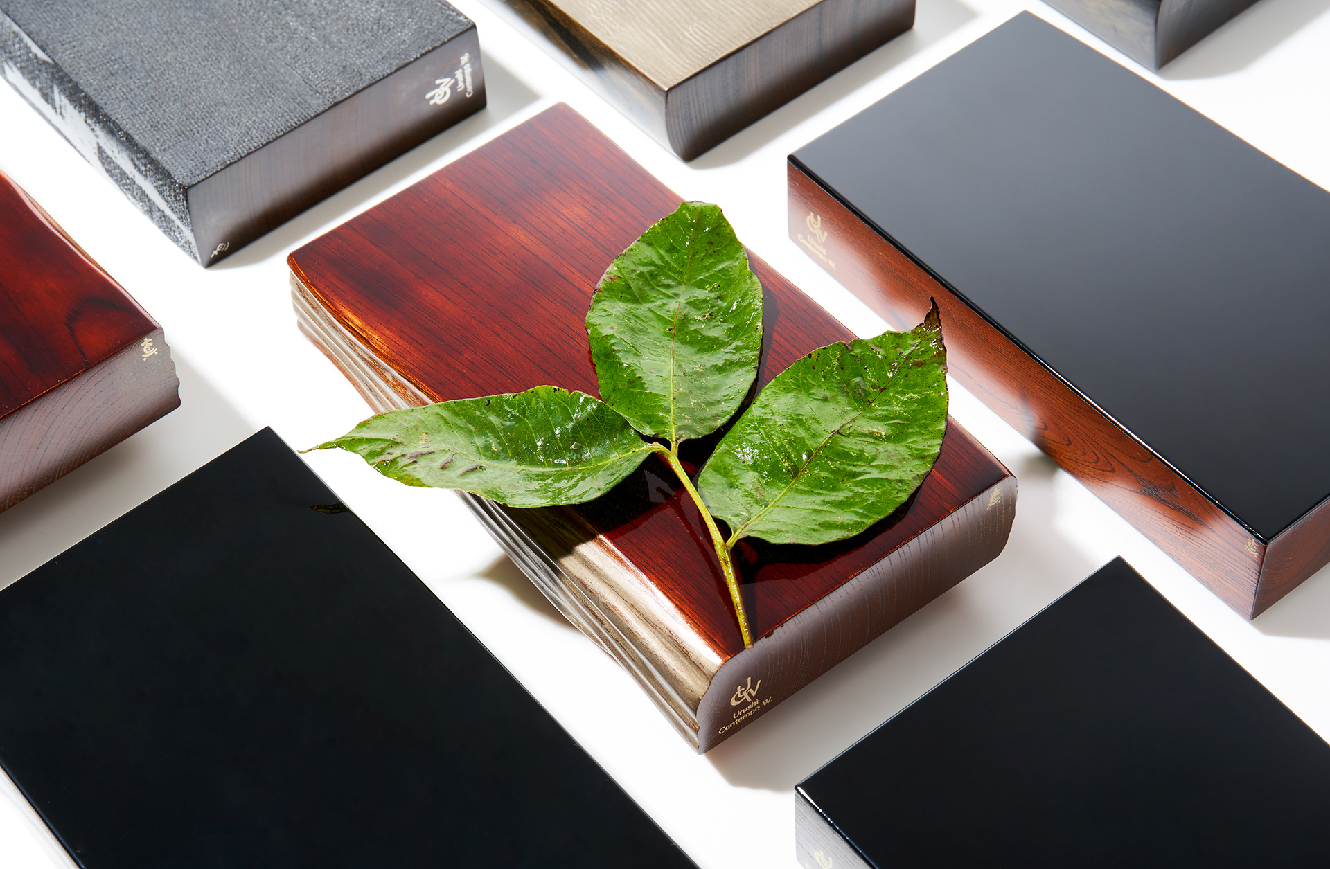 オクノテ｜okunote - 社会貢献アートプロジェクト「Urushi Contempo」