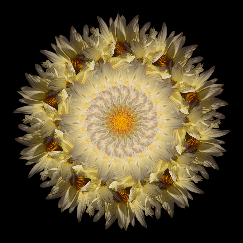 Elizabeth Kazda - Spring and Summer Botanical Mandalas