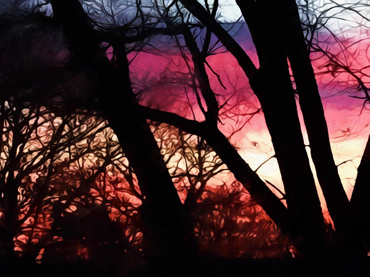 Art Of Mine - Fall Sunset Through The Trees