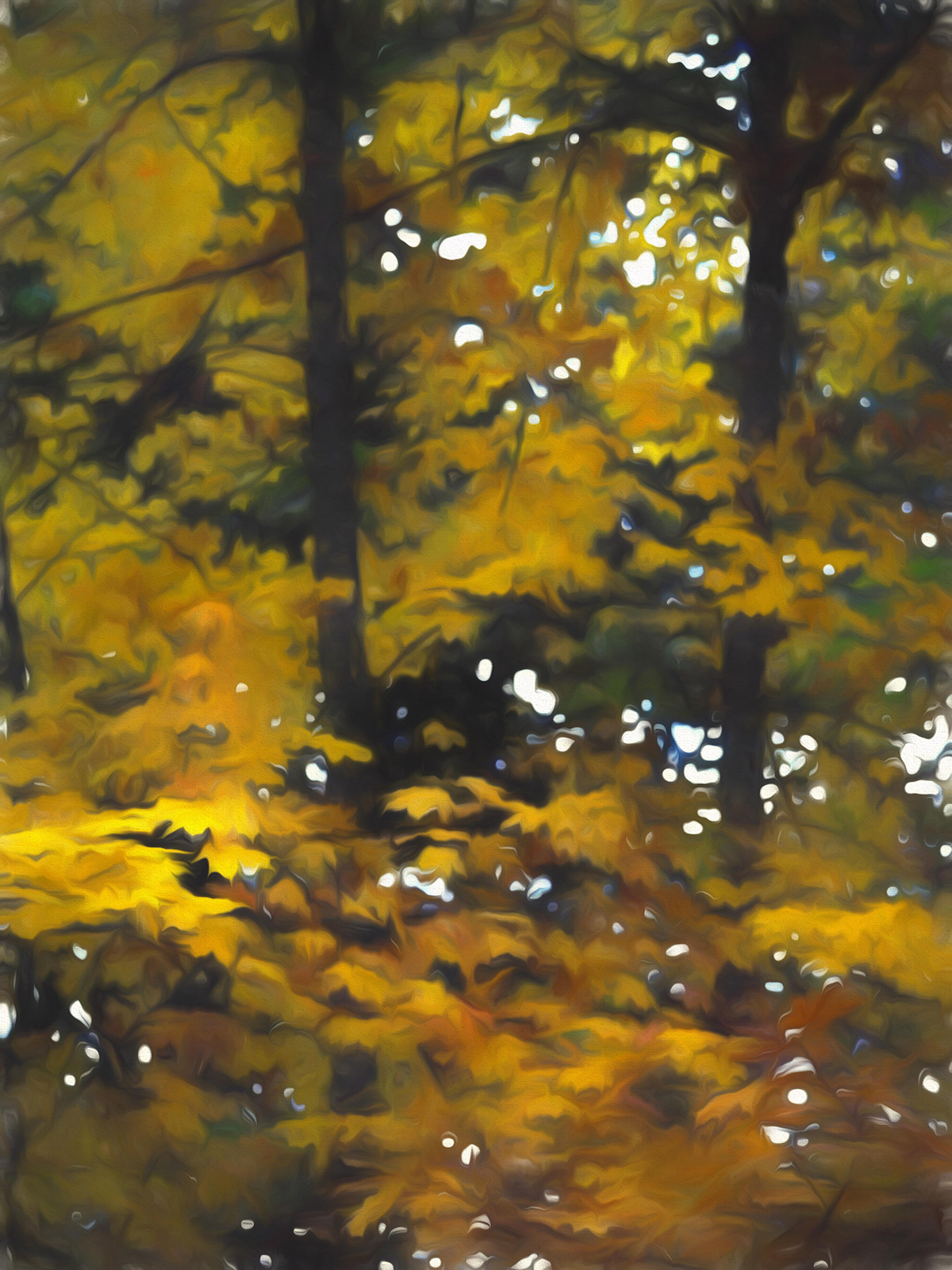 Art Of Mine - Fall Yellow Trees