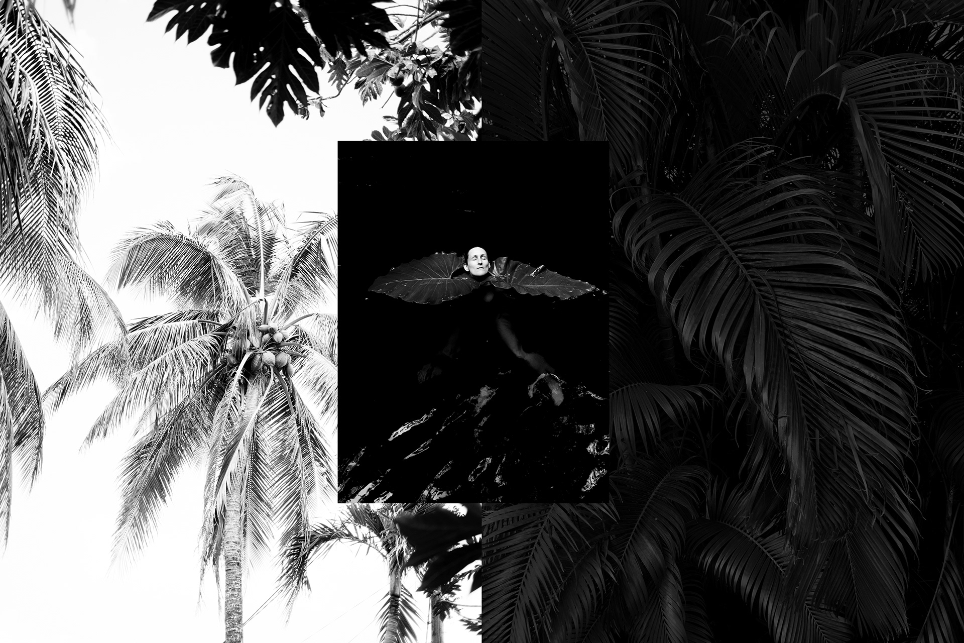 MARILIA DESTOT :: PHOTOGRAPHY - WORKS