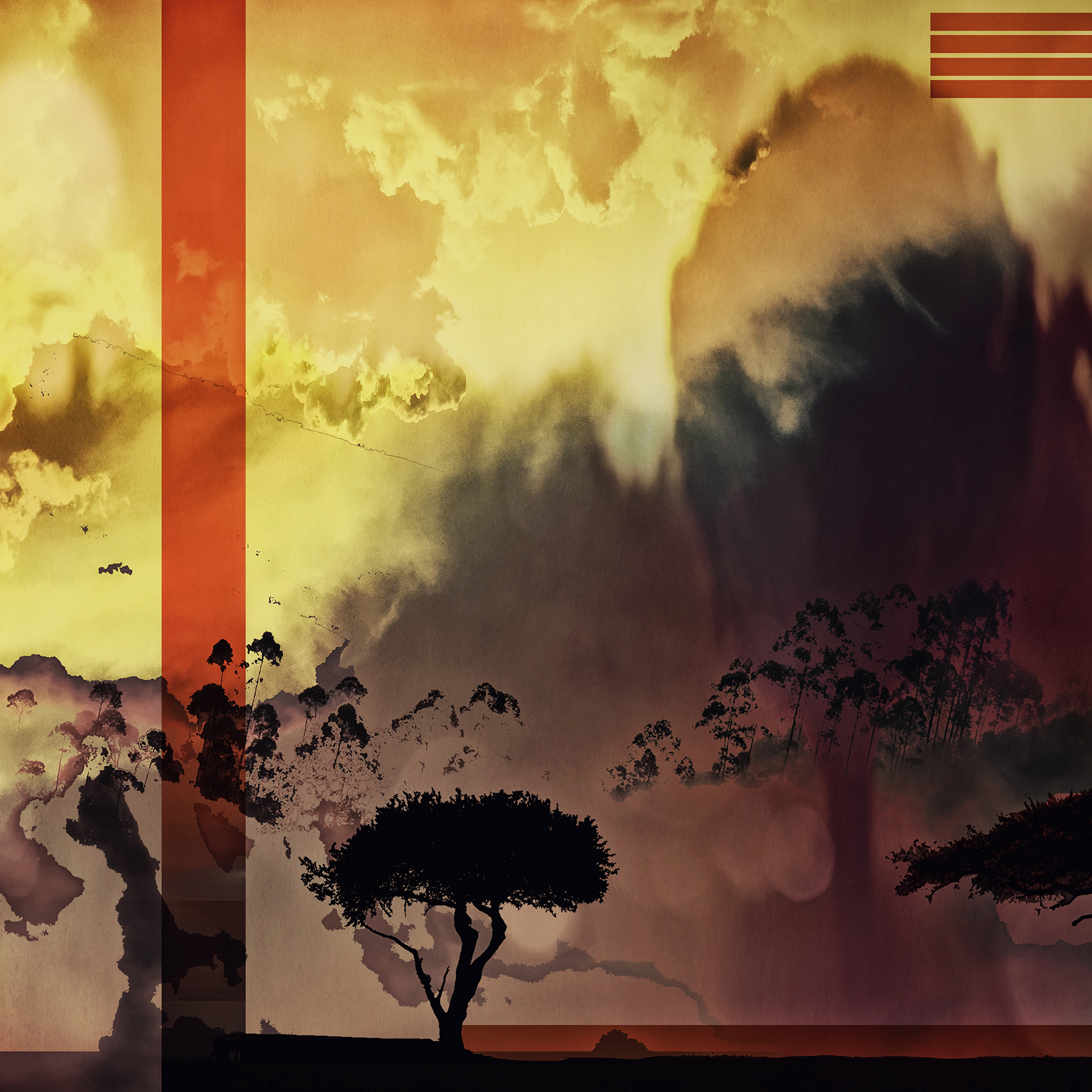 Elif Bulut - Backgrounds