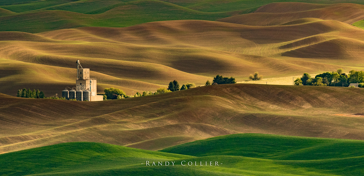 Randy Collier - Photographic Design - Recent Work