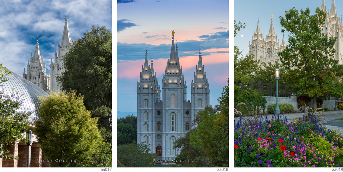 Randy Collier - Photographic Design - above it all