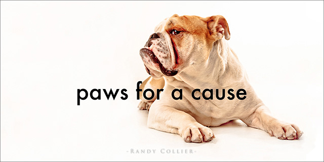 Randy Collier - Photographic Design - above it all