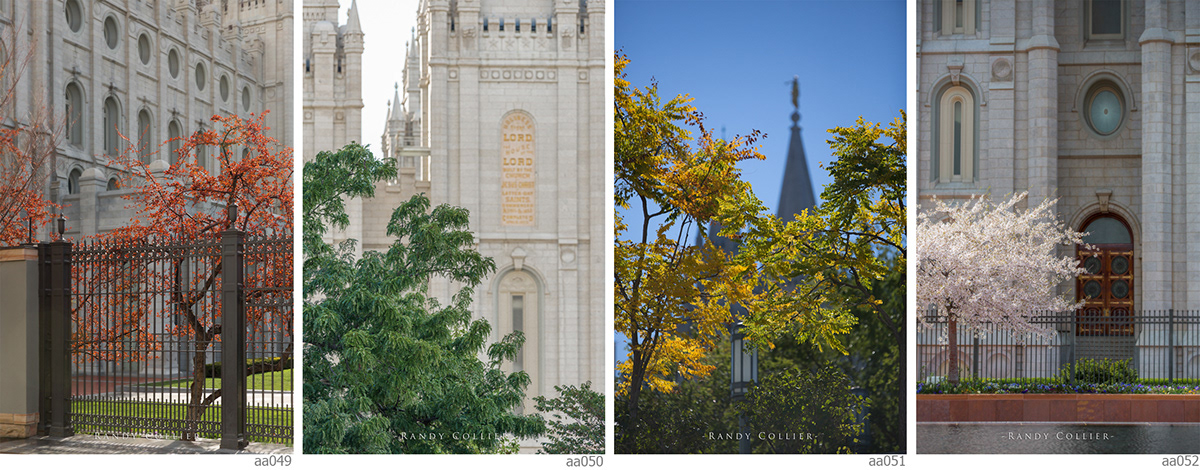 Randy Collier - Photographic Design - above it all
