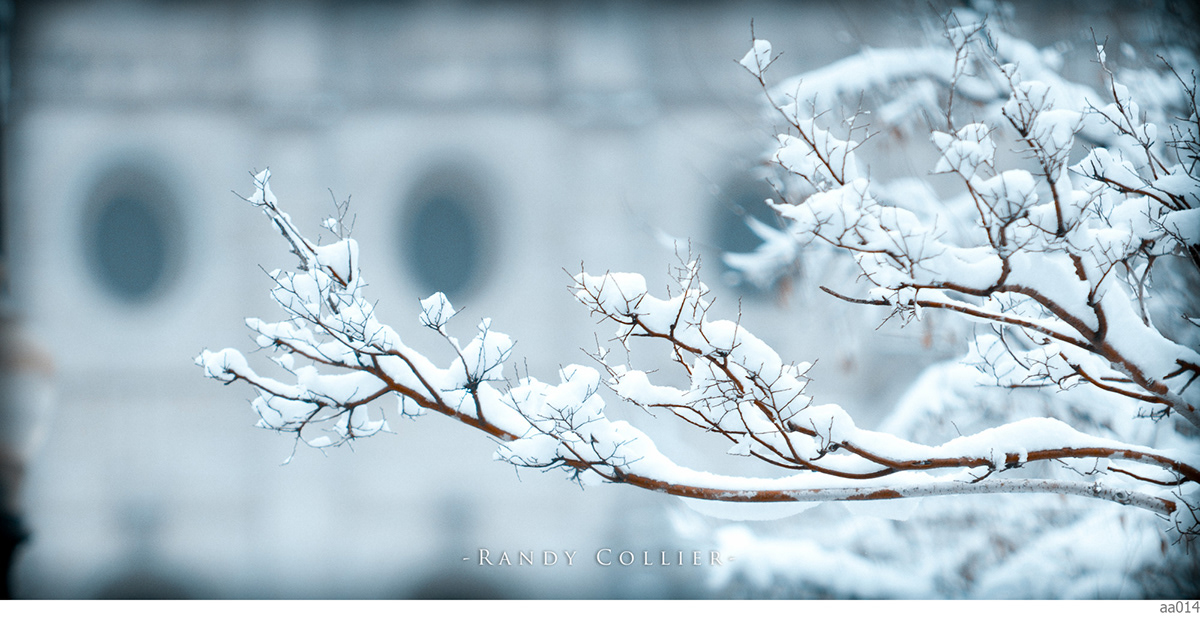 Randy Collier - Photographic Design - above it all
