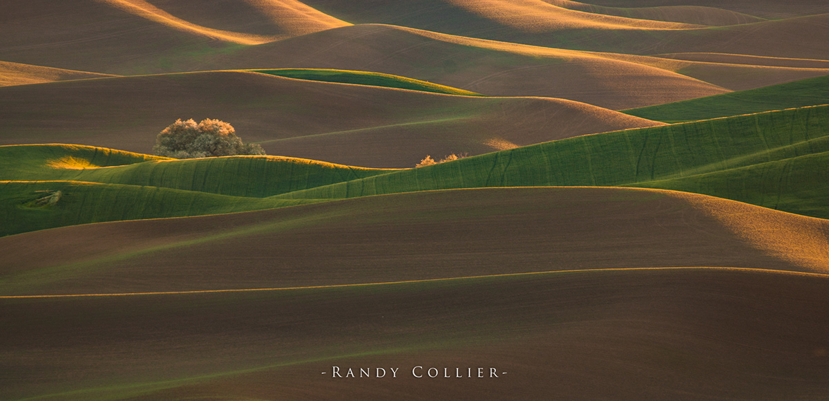Randy Collier - Photographic Design - Recent Work