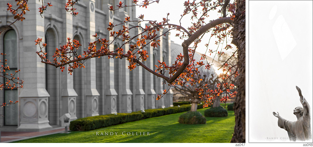 Randy Collier - Photographic Design - above it all