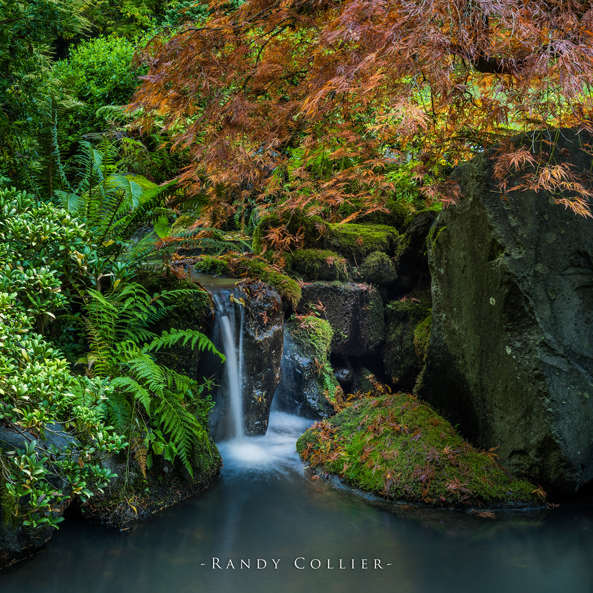 Randy Collier - Photographic Design - Recent Work