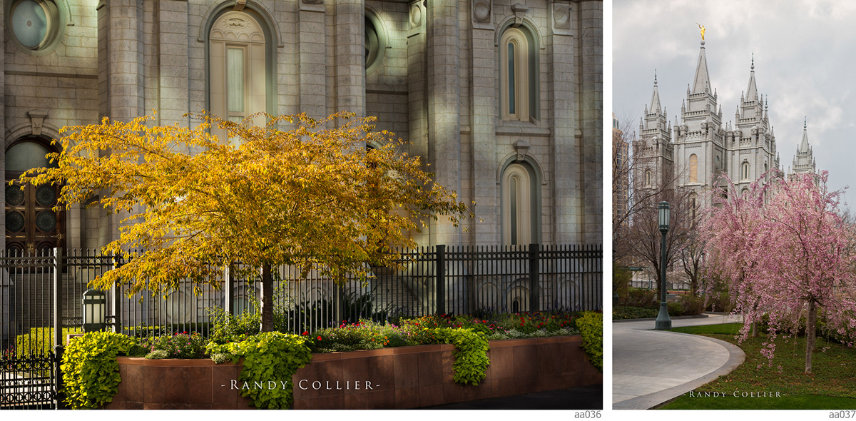 Randy Collier - Photographic Design - above it all