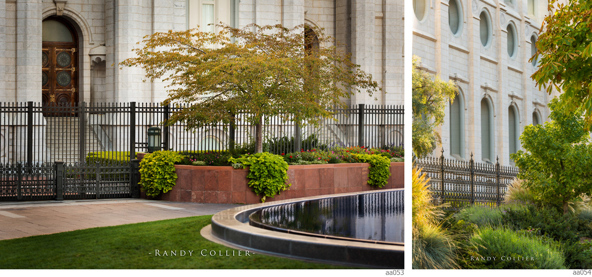 Randy Collier - Photographic Design - above it all