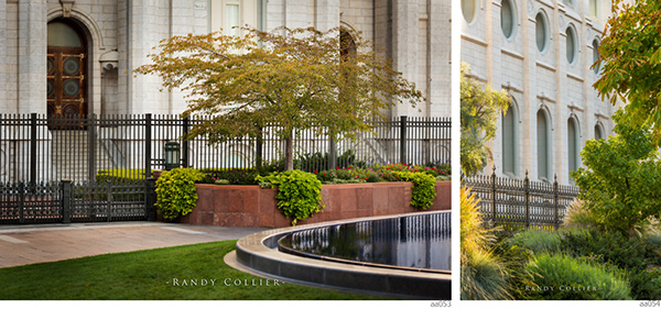 Randy Collier - Photographic Design - above it all