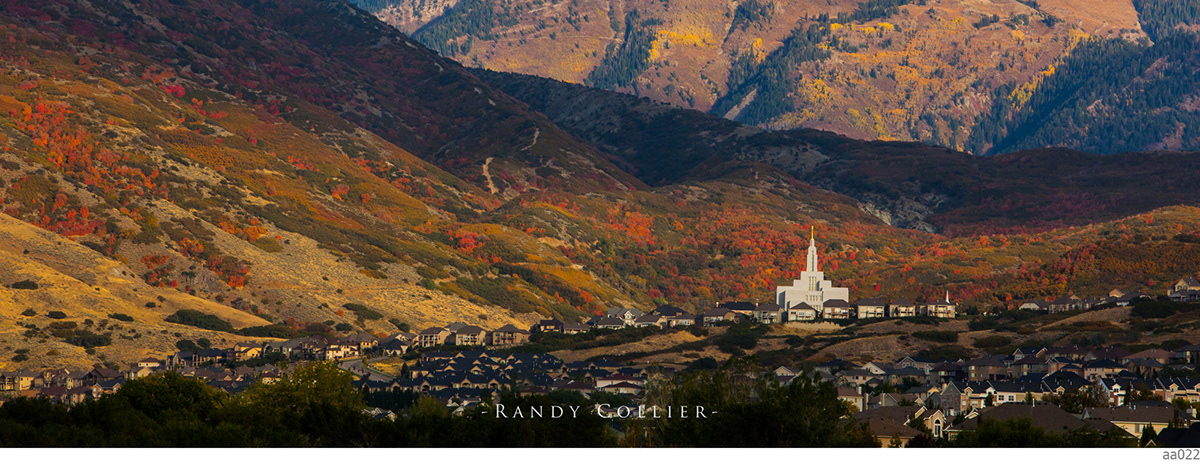 Randy Collier - Photographic Design - above it all