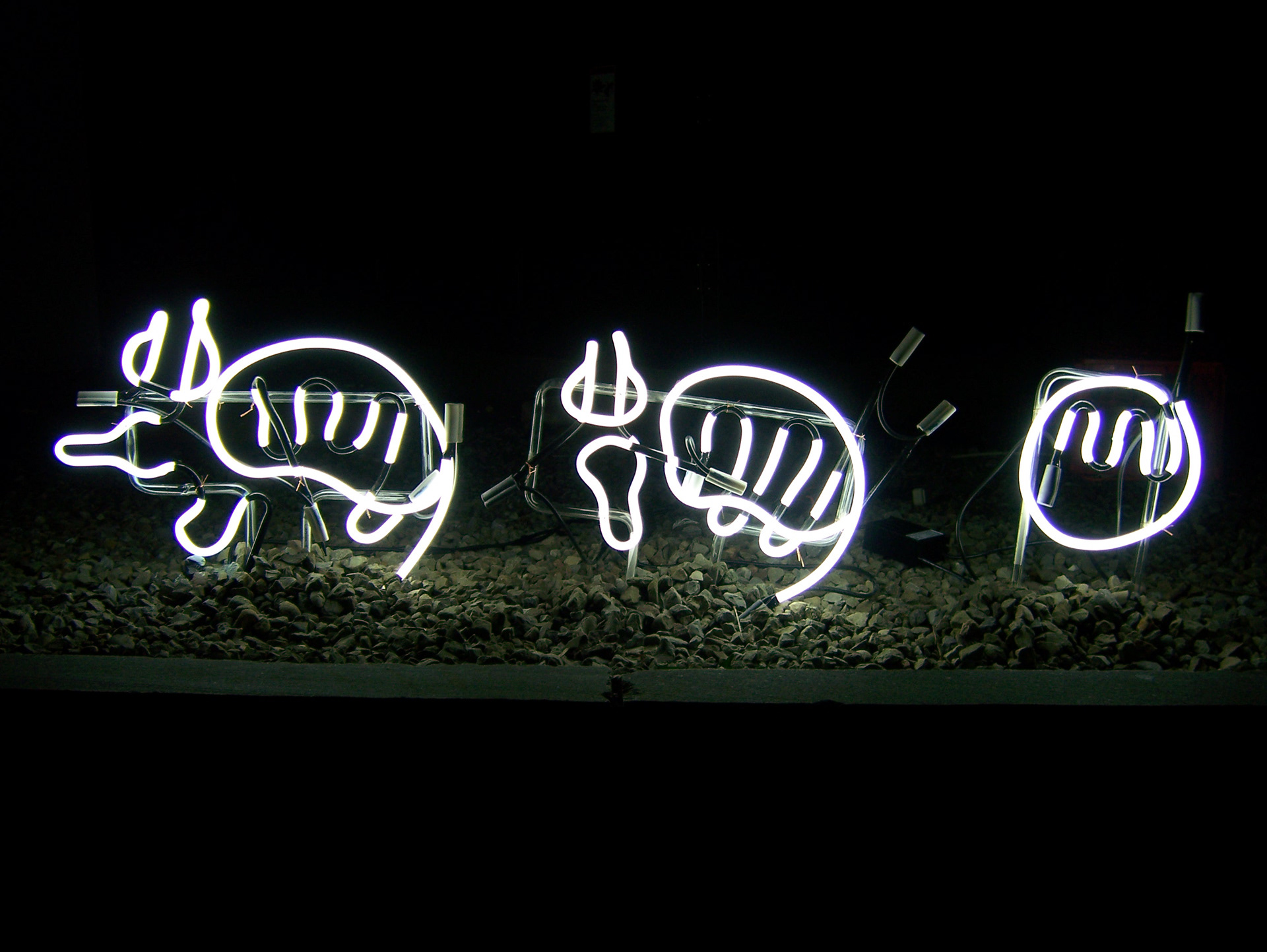 Carolyn Kassnoff - Neon and Lamp Design