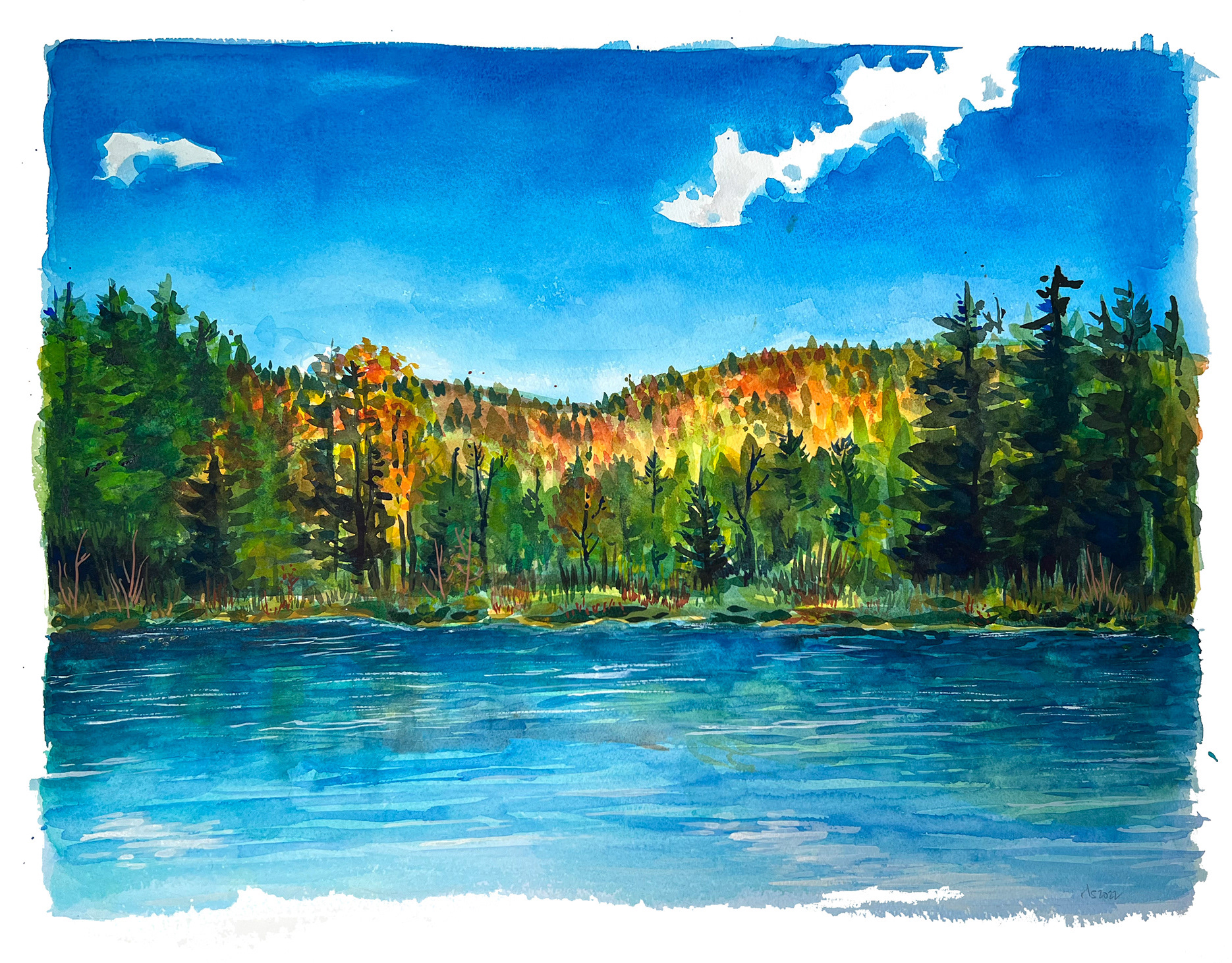Renee Leigh Stephenson Illustration
