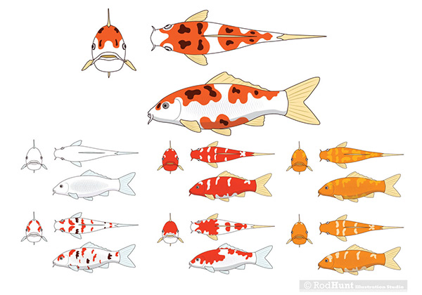Detailed Isometric Illustration & Illustrated Maps by Rod Hunt - Sogo ...