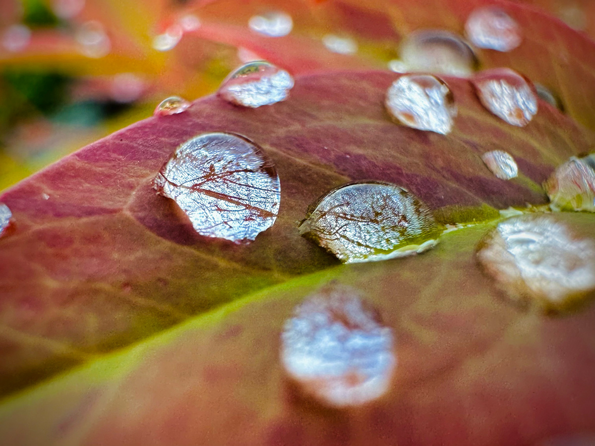 Adrian McGarry - Zoom Levels on iPhone 17 Pro Max