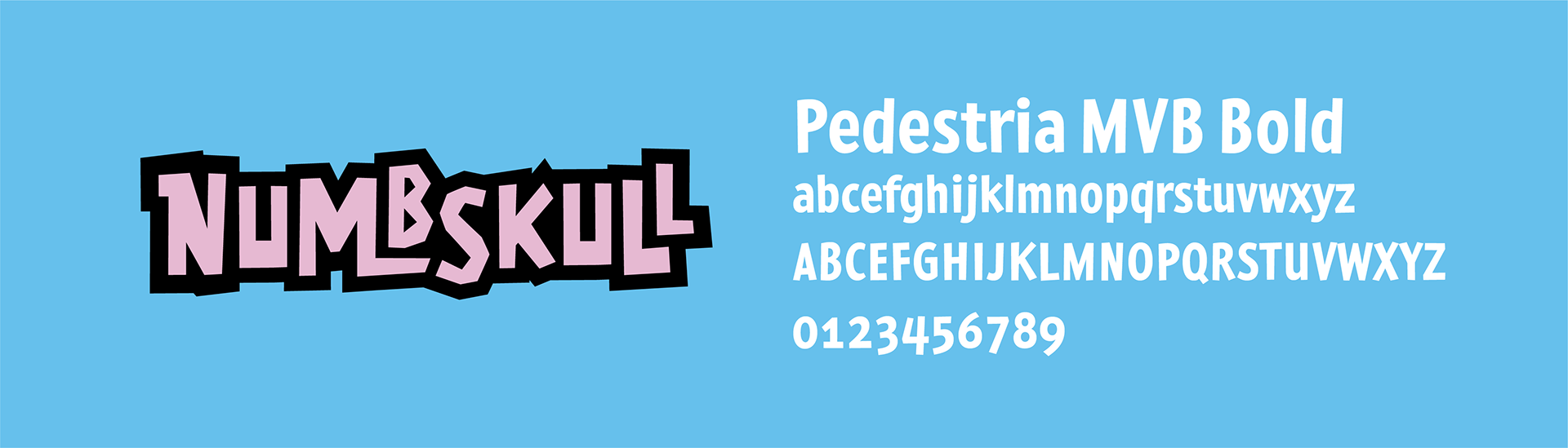 Pellegrino Portfolio - Numbskull - Total Turmoil Album Release