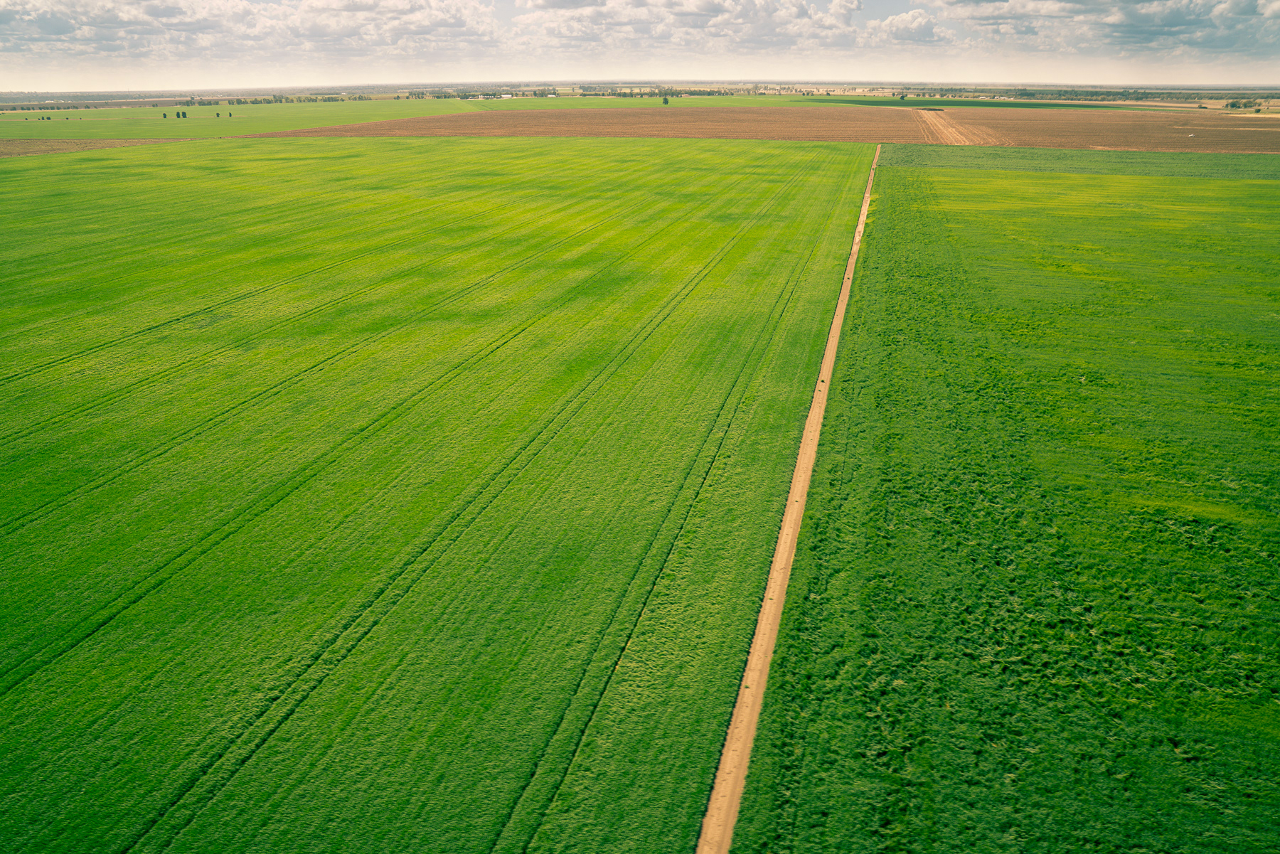 Dawson Ag - Kelly Chains