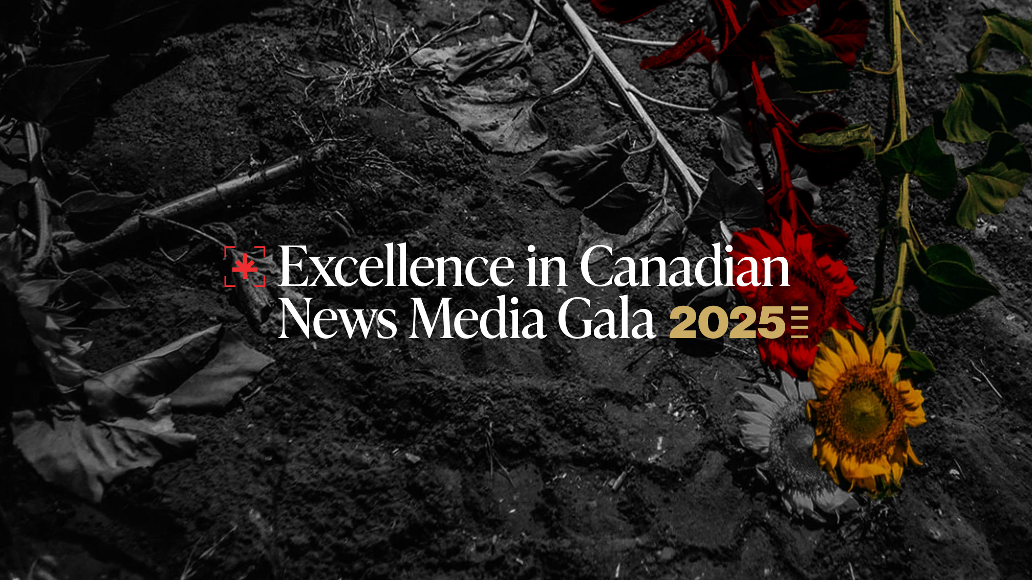 Alexander Weitzel's portfolio