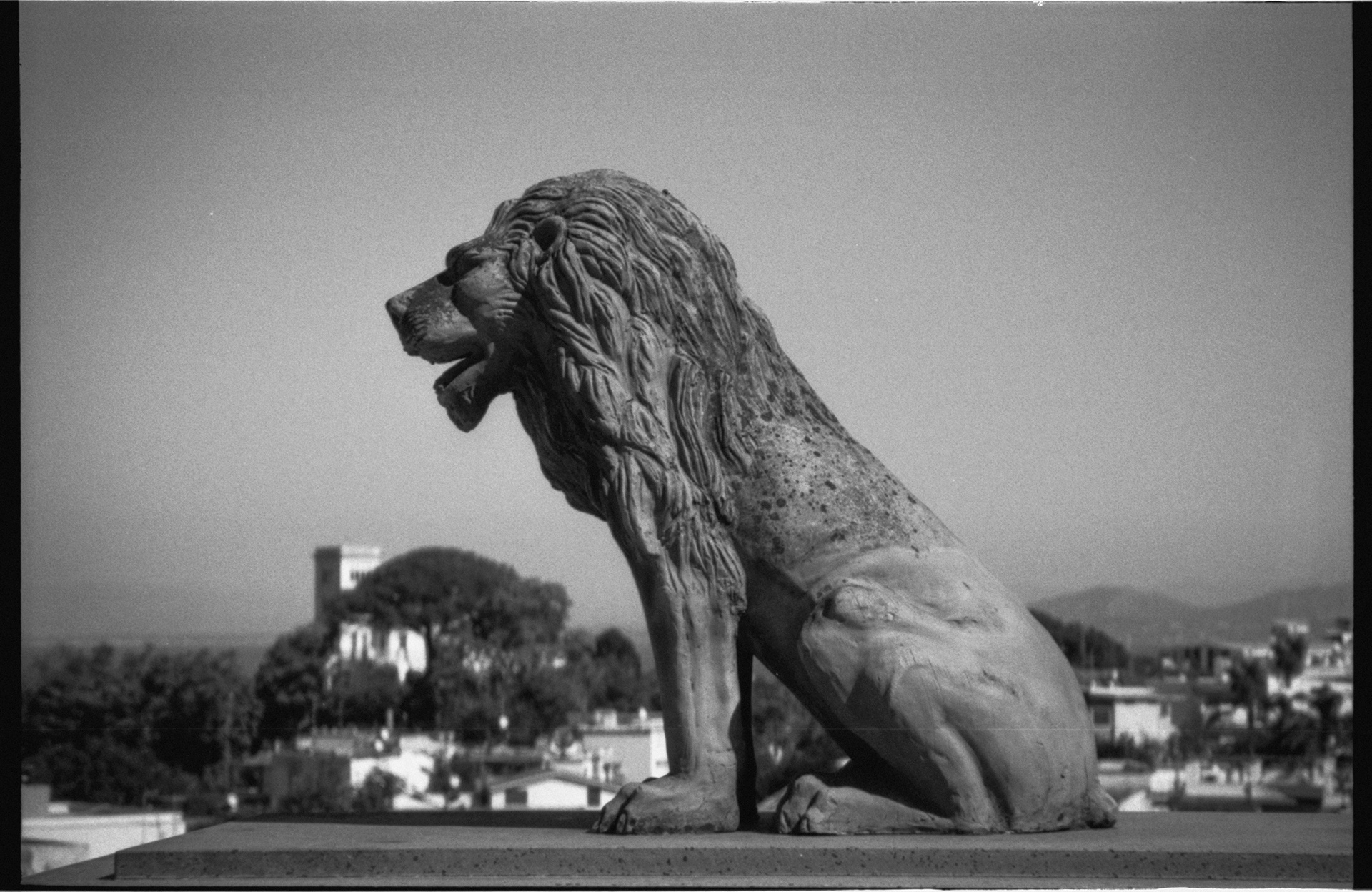 lionel roy - CONTACT