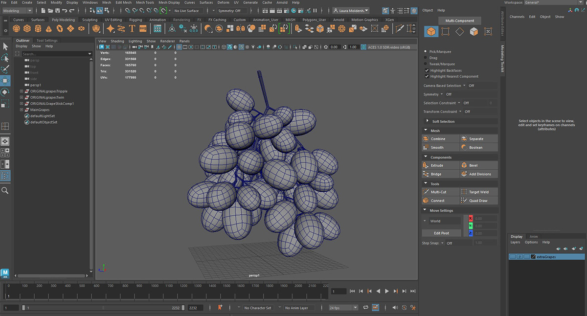 Laura Moldenhauer-Noethling - 3D Grapes with Maya