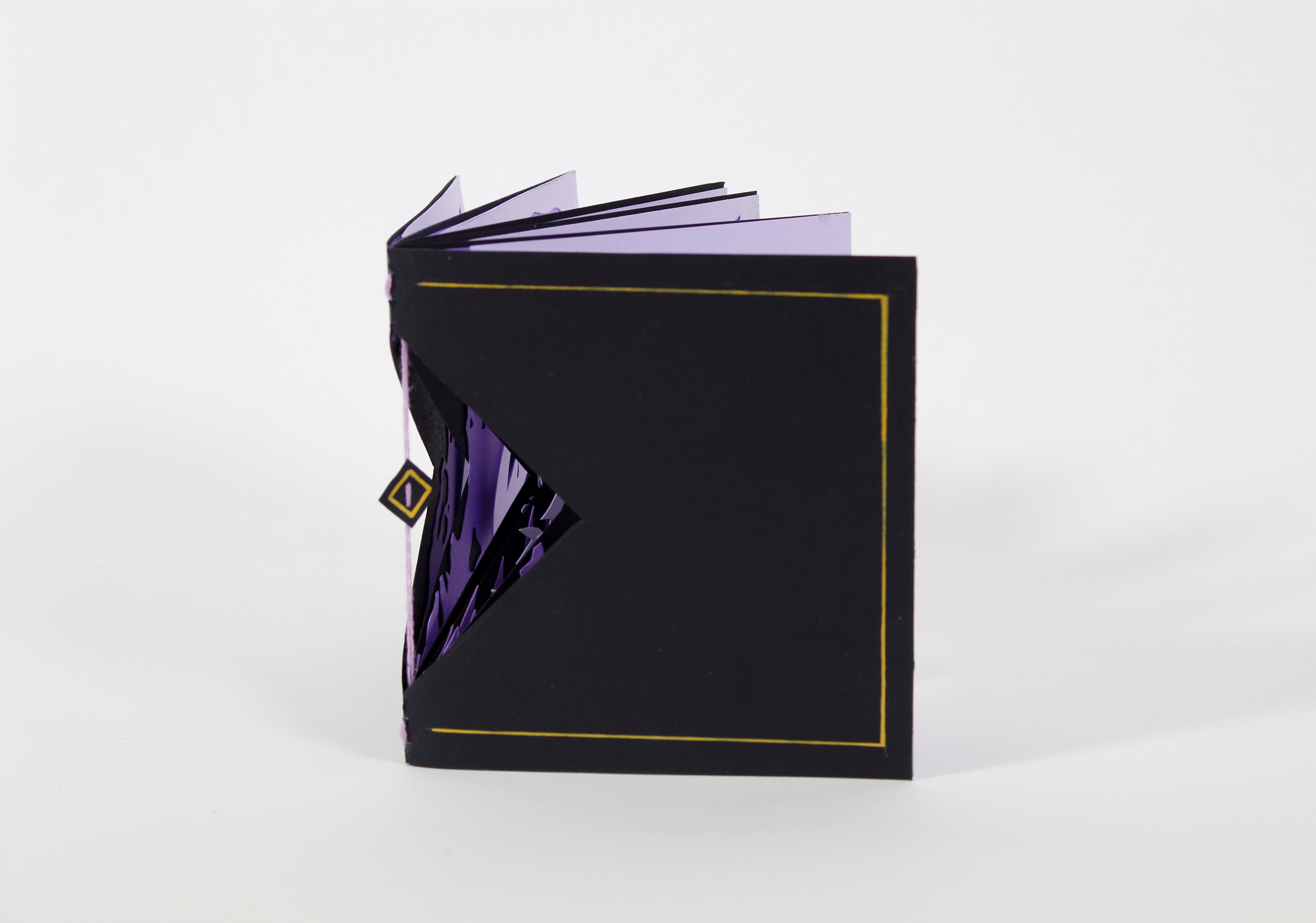 Ashley Castaneda - Peruvian Mythologies and Folklore Star Book