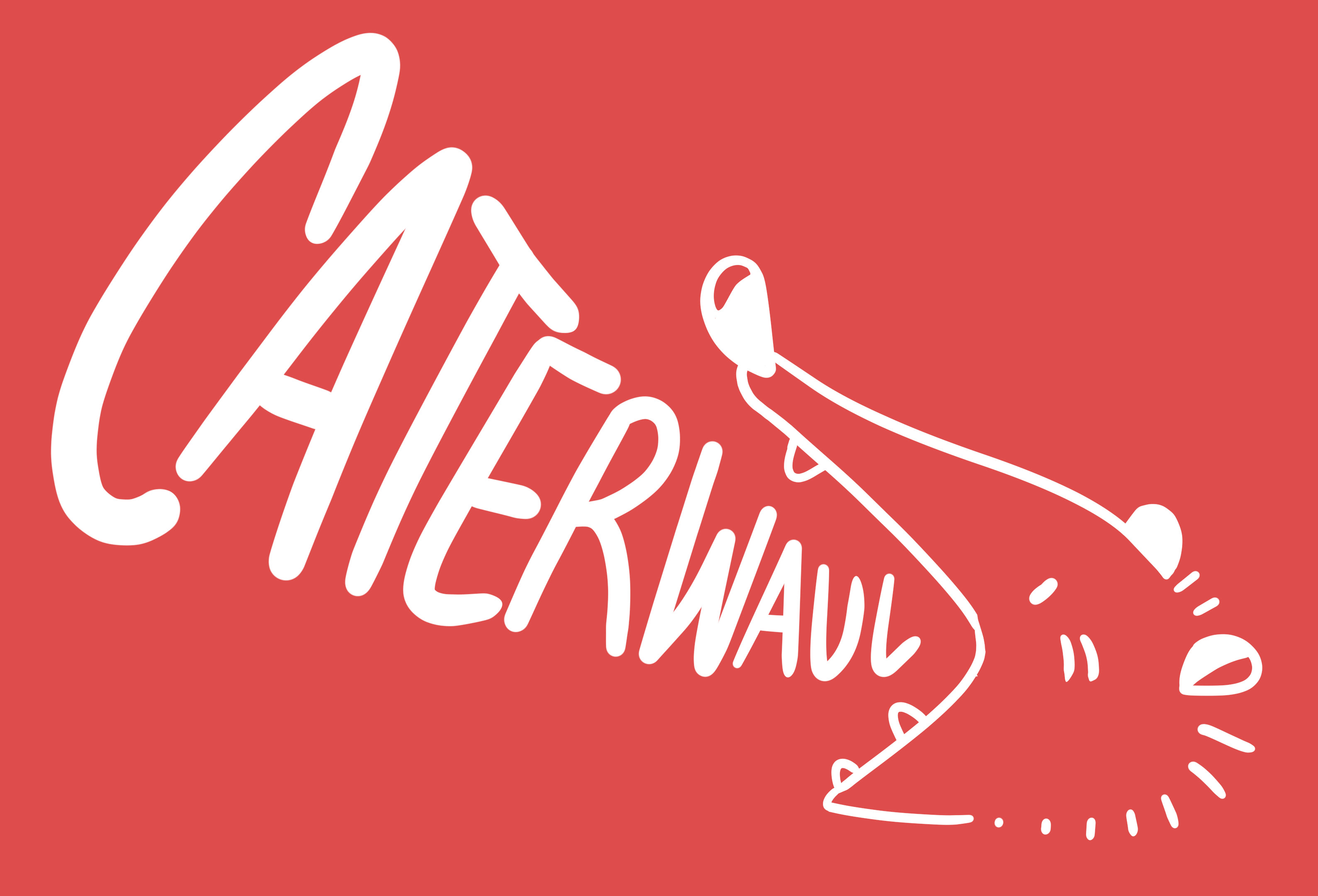 Caterwaul Studios - Services