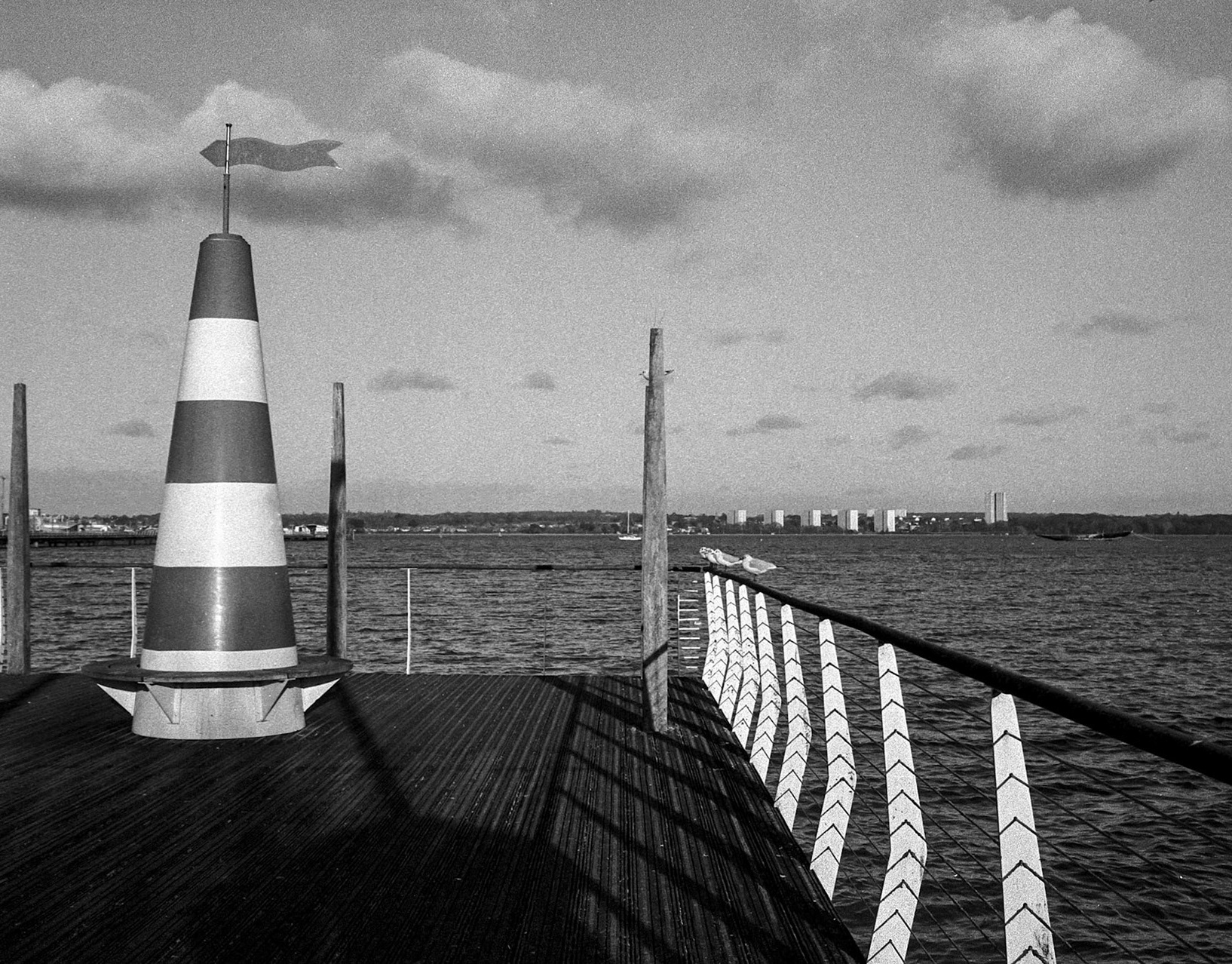 Alison Webber - Photography