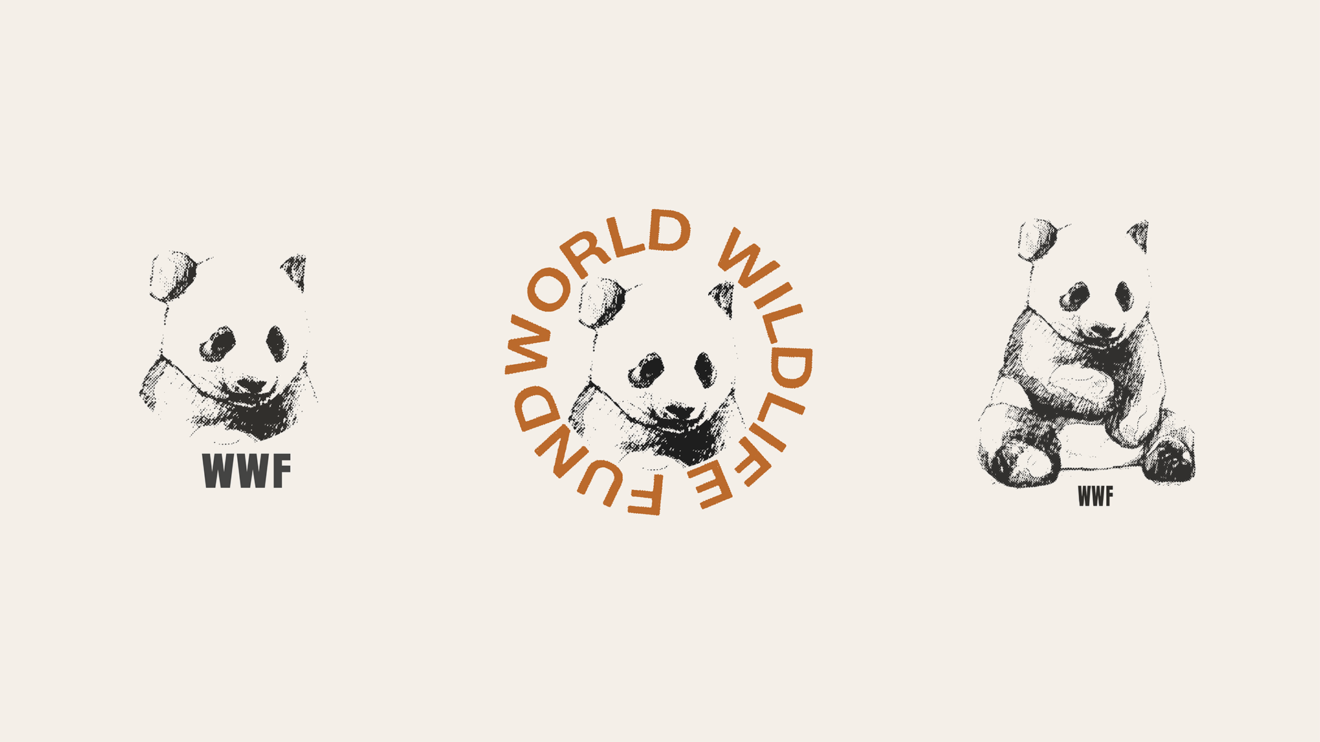 Angela Comstock - WWF REBRAND