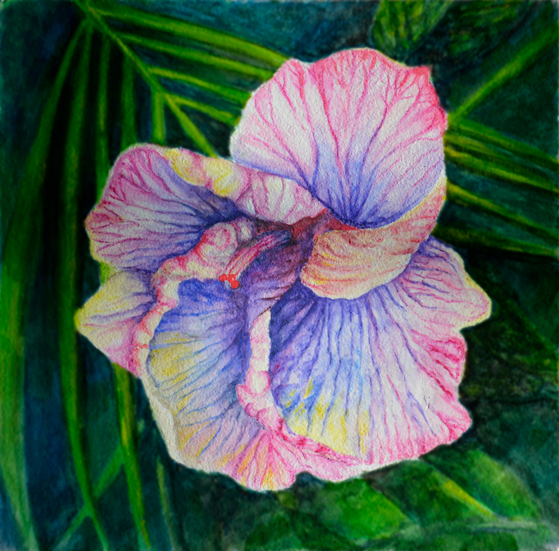 Susan Oakes Art - Watercolor