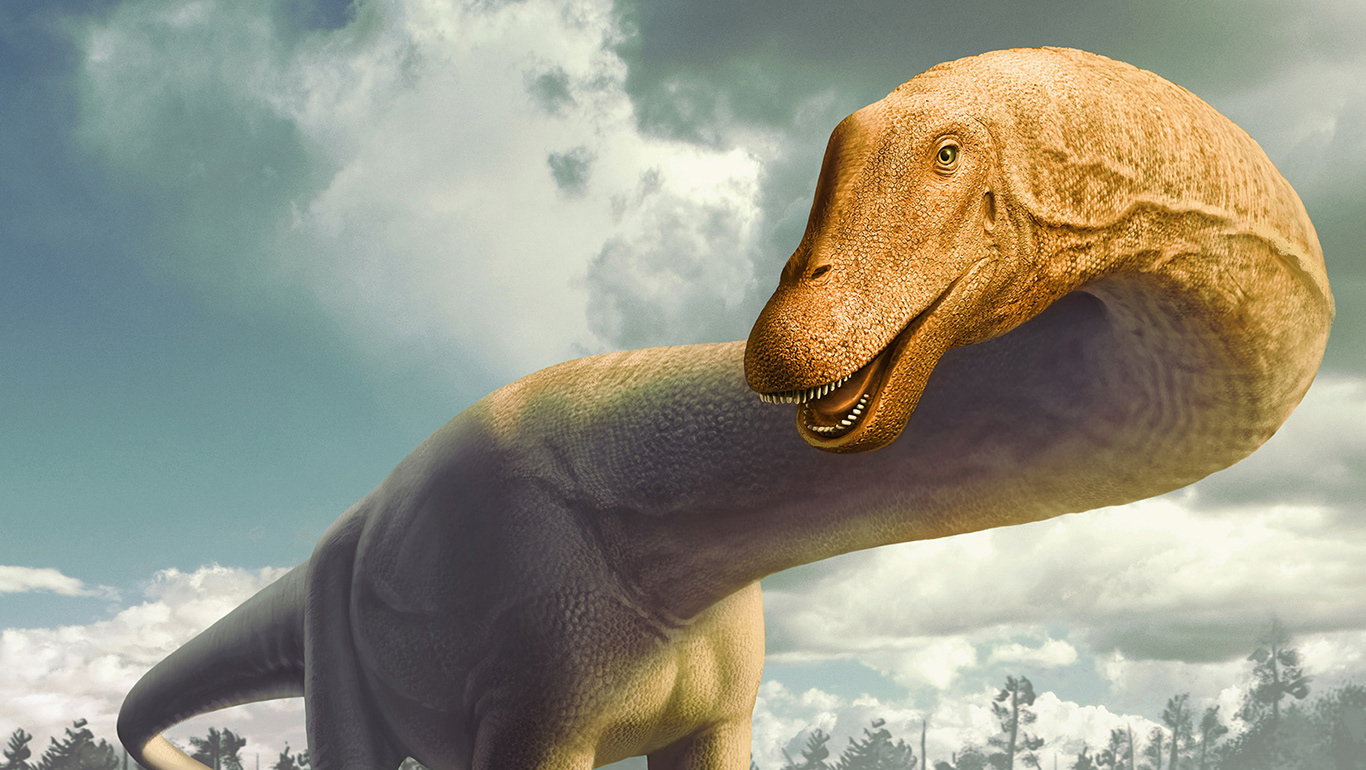 Stephanie Abramowicz: Natural Science Illustration - ILLUSTRATION