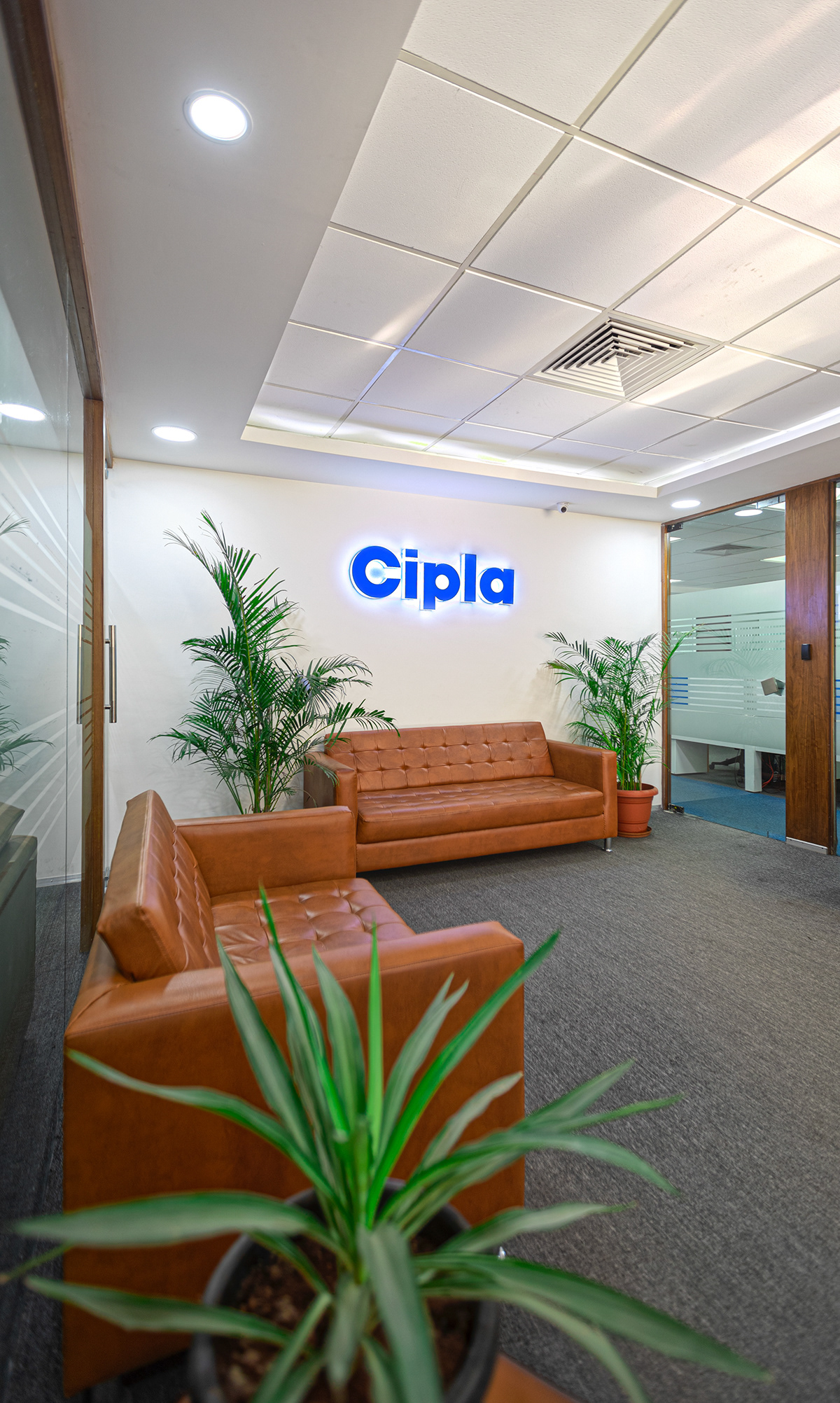 Studio Slip - Cipla