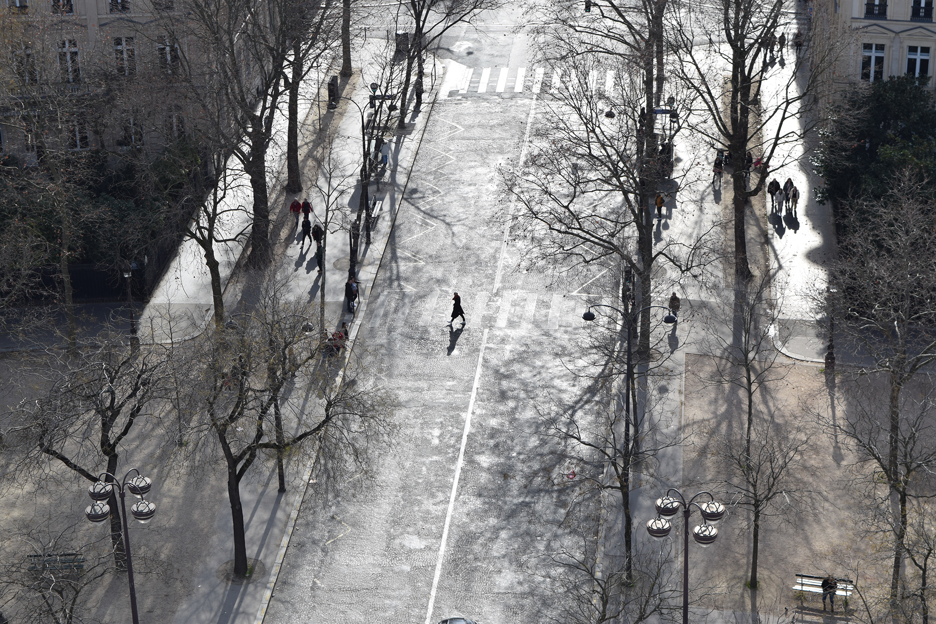 Daniela Salcedo - Photography