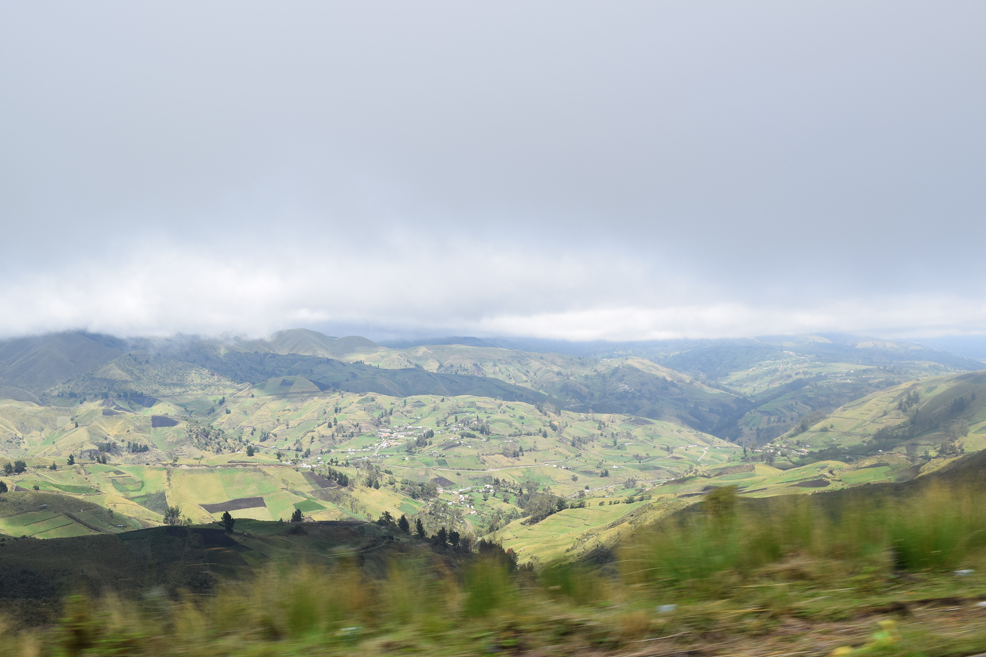 Daniela Salcedo - Photography