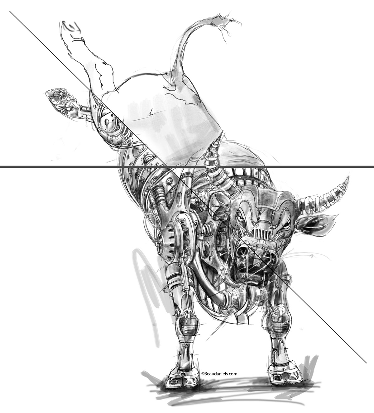 Technical illustration, Beau and Alan Daniels. - Ariat mechanical Bull