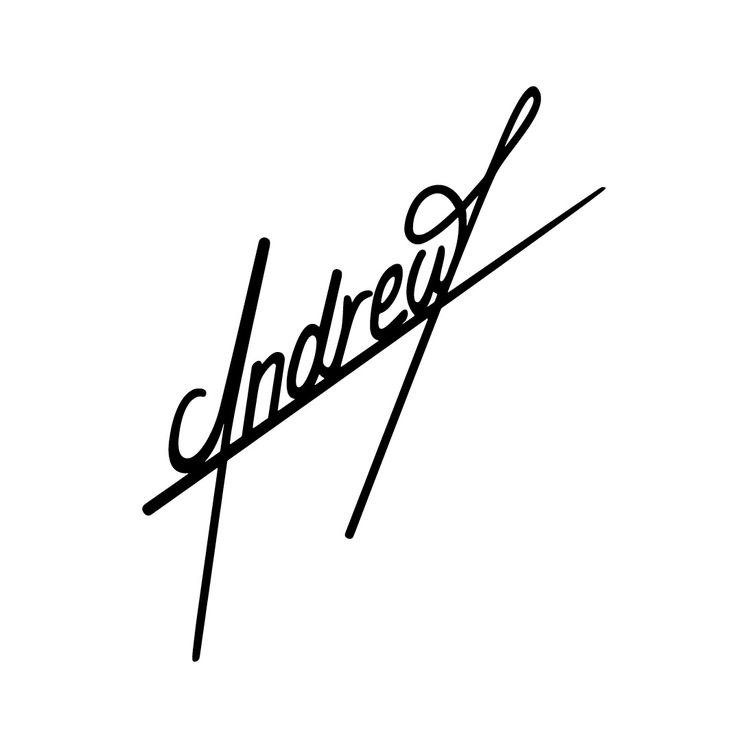 Andrew Nader - Gerda Henkel Book Cover