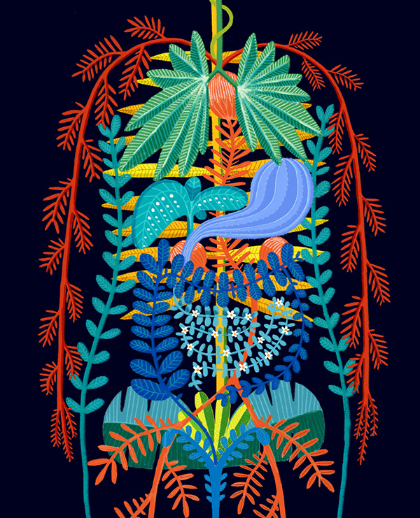 Alex Latimer - illustrations