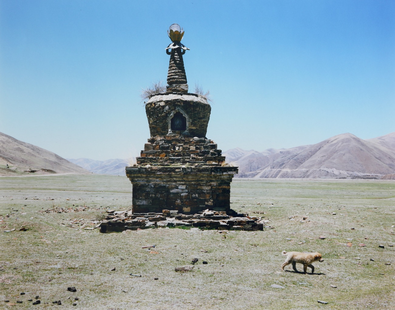 OKAFOTO | Kotaro Okamoto Photography - TIBET
