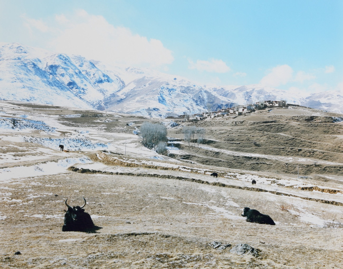 OKAFOTO | Kotaro Okamoto Photography - TIBET