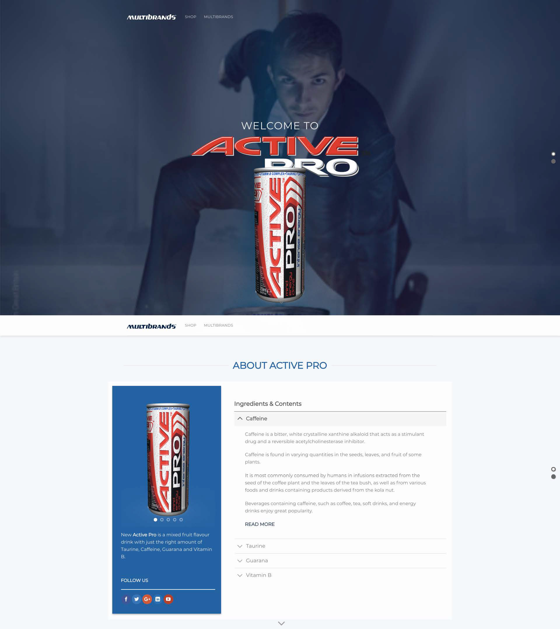 Rajesh Brahme - web and UI design