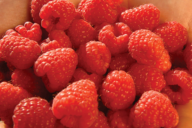 Absolute Design Consultancy Limited