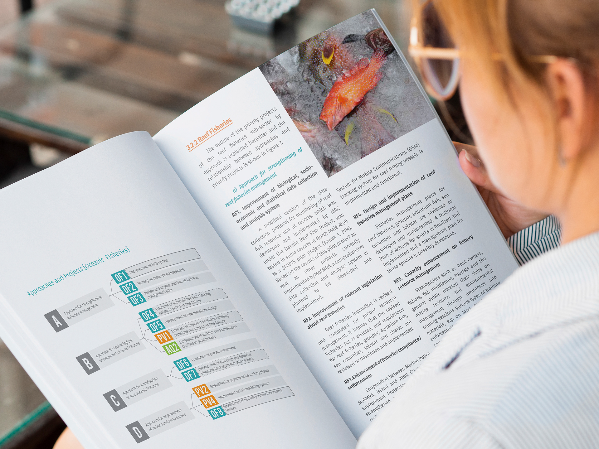 Ahmed Naushad - MOFA JICA Fish Master Plan 2019 - 2025